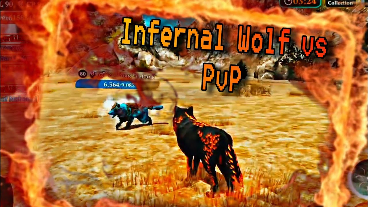 8k Infernal Wolf vs PvP || The Wolf - YouTube