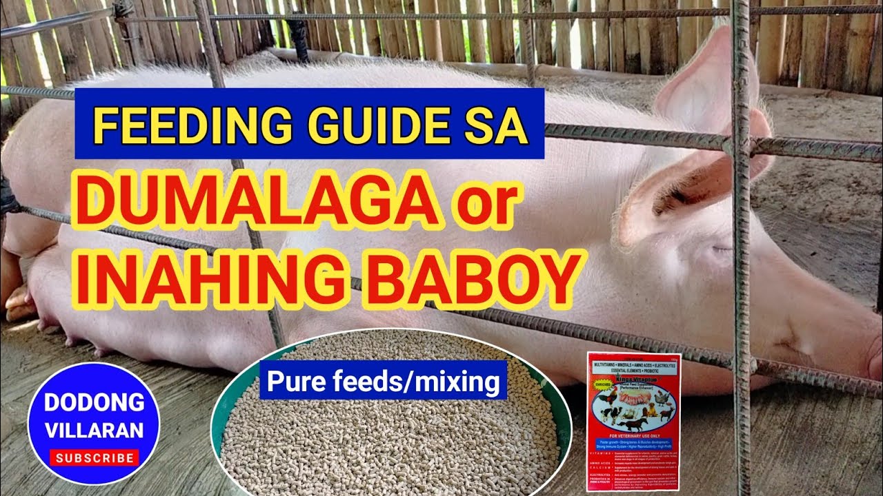 FEEDING GUIDE SA DUMALAGA/INAHING BABOY/ Dodong Villaran - YouTube