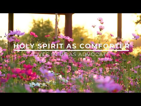The Holy Spirit as Comforter: The Holy Spirit that lives in us as ...