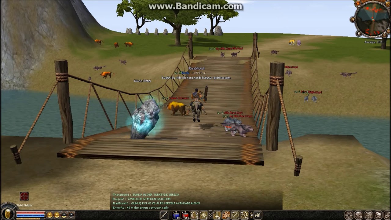 Metin2 Tigris Nerede Bulunur - YouTube