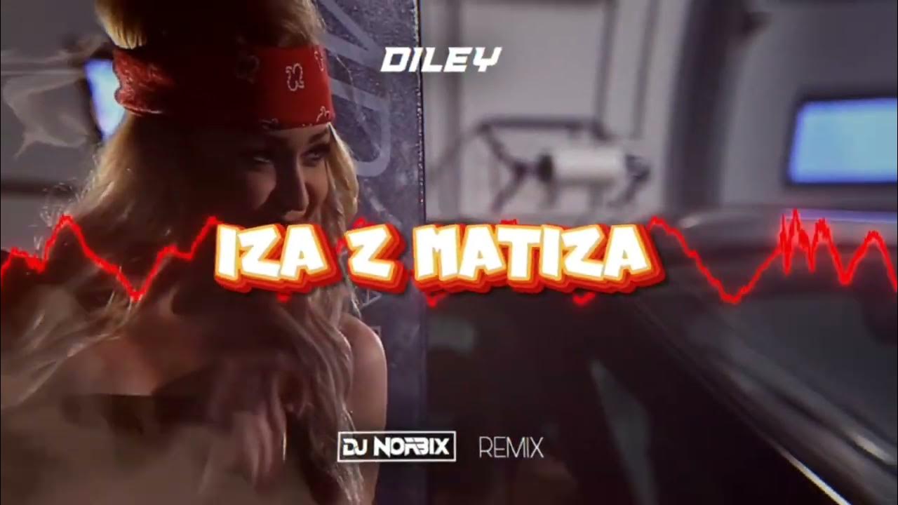 Diley - Iza z Matiza (DJ NORBIX REMIX 2024) - YouTube