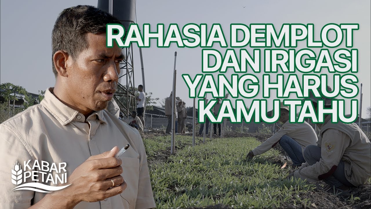 MENGAPA DEMPLOT & IRIGASI DI TIMOR FARM NUSANTARA BEGITU EFEKTIF ...
