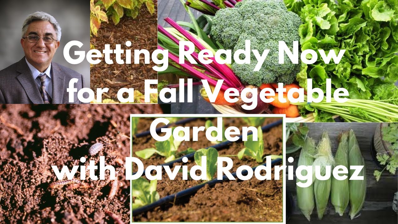 Getting Ready Now for a Fall Vegetable Garden with David Rodriguez ...
