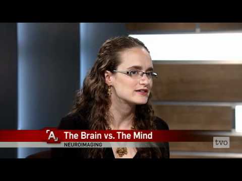 Rebecca Saxe: The Progress of Cognitive Neuroscience - YouTube