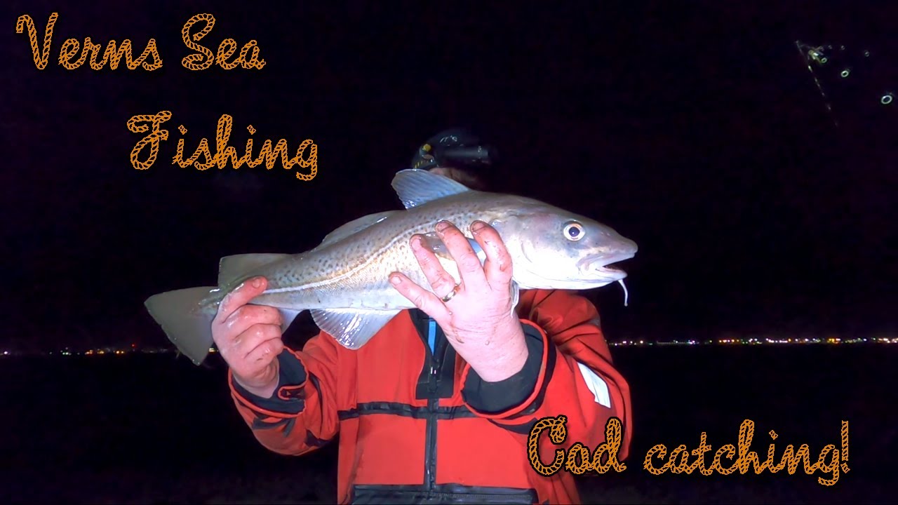 VERNS SEA FISHING | COD CATCHING AGAIN NO FRILLS JUST A GOOD STAMP OF A ...