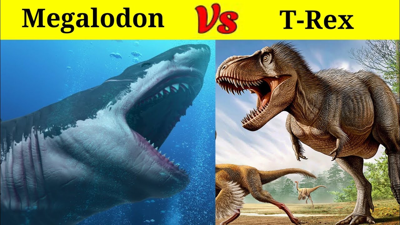 Megalodon Vs T-Rex | क्या समुन्द्र का दैत्य The Meg मार पायेगा इस ...