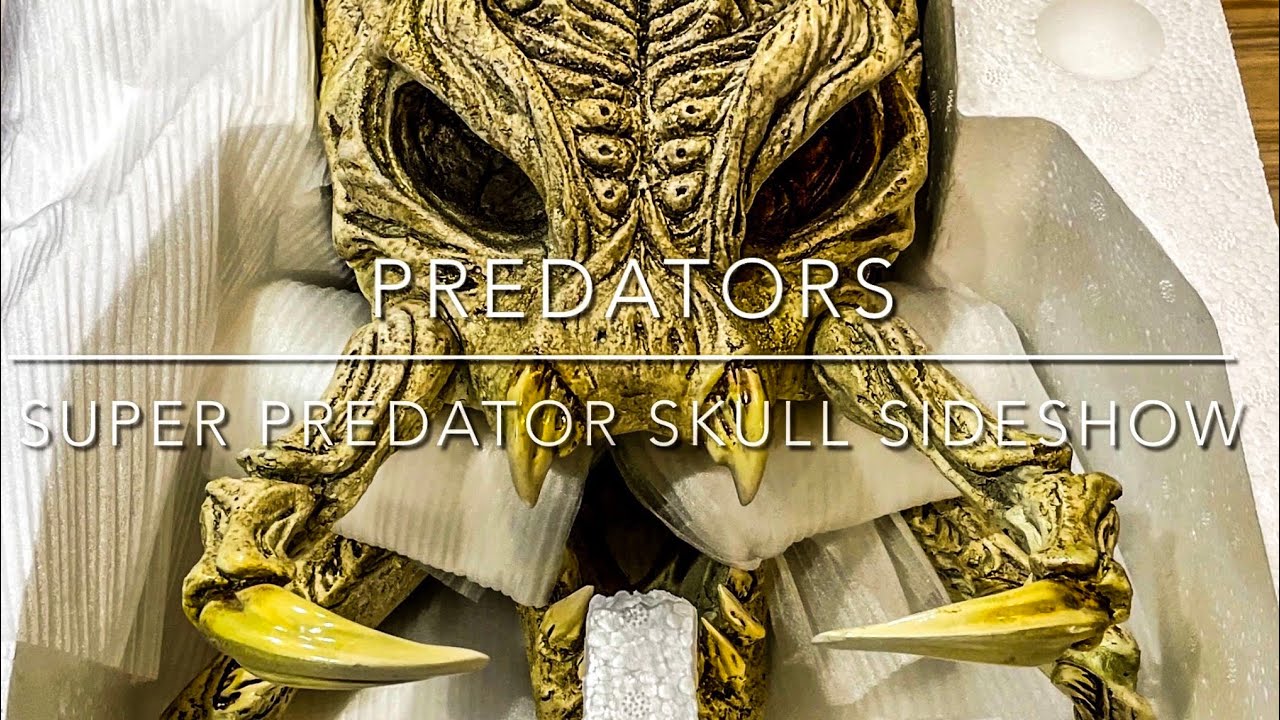 Predators Super Predator Skull Life Size Sideshow Unboxing and ...