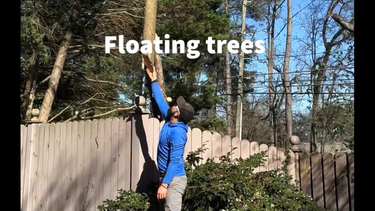 Floating Trees in tight areas - YouTube