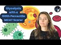 Glycolysis and its Role in Cellular Respiration Interactive Video