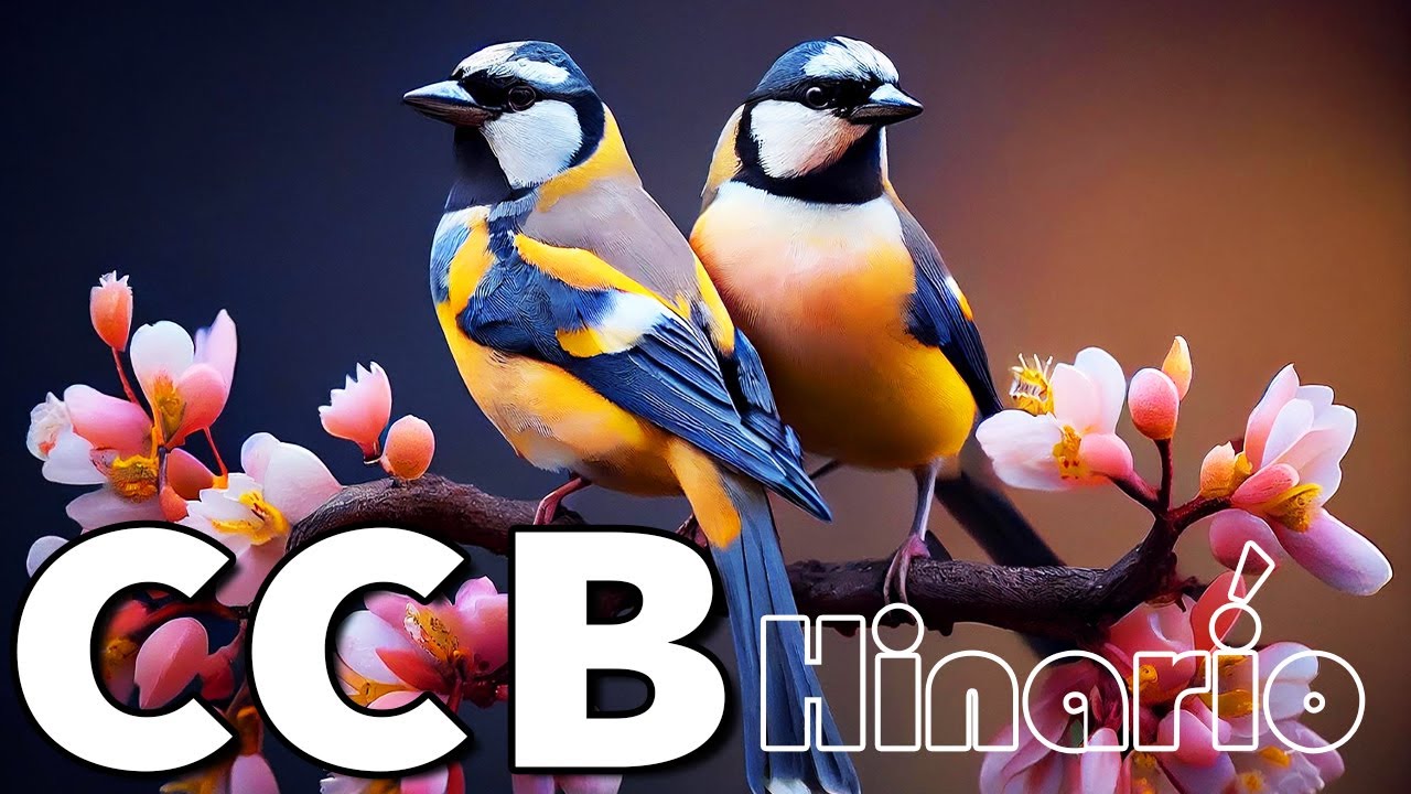 Hinos CCB 2023 - Hinos de silencio CCB para Dormir - Eu desejo, Senhor ...