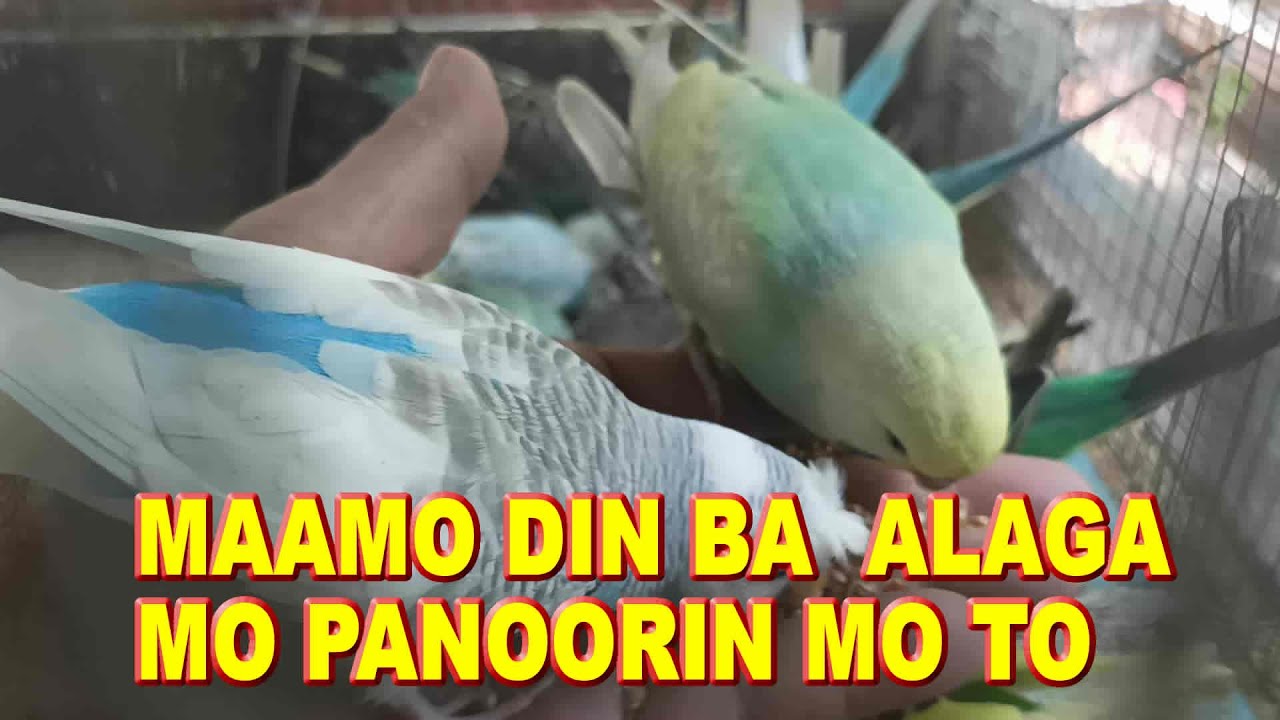 mga keets na mababait - YouTube