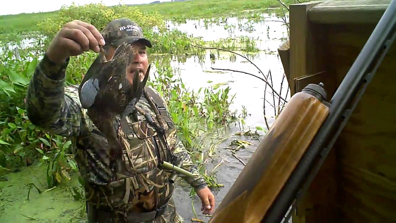 Early Teal Season OH 2010 - YouTube