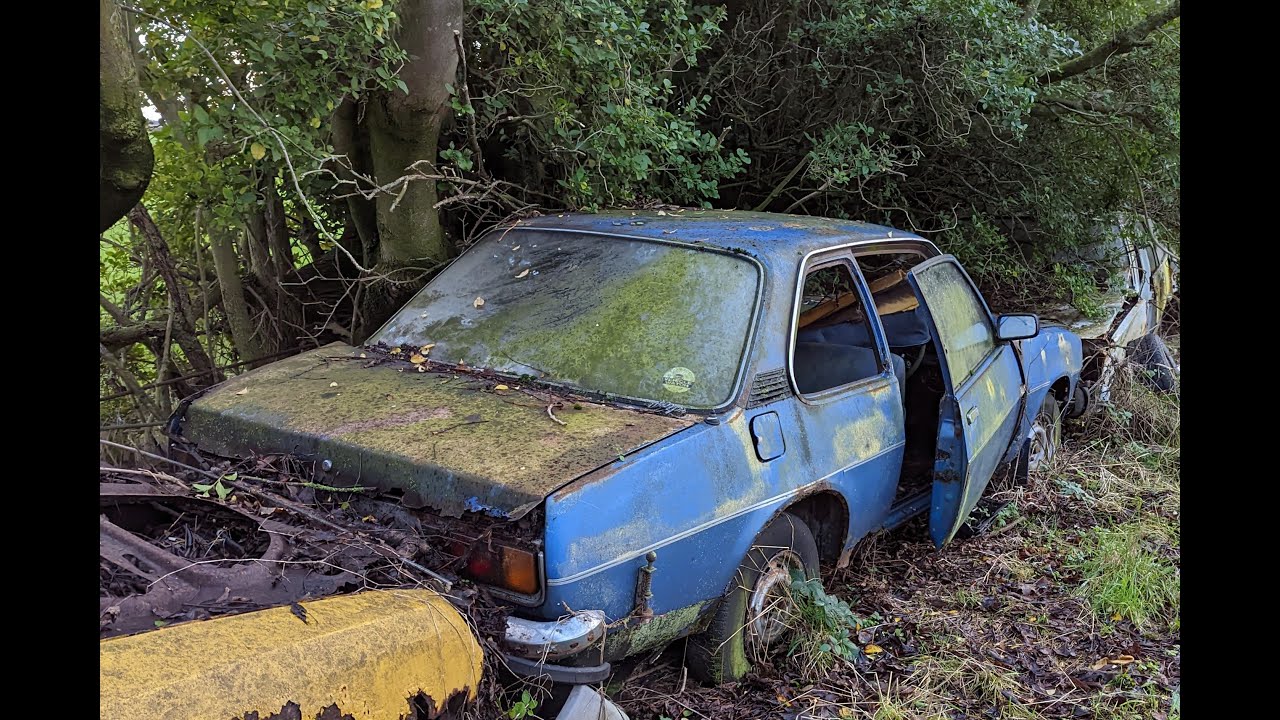CAR GRAVEYARD WITH A SURPRISE FIND AT THE END - YouTube
