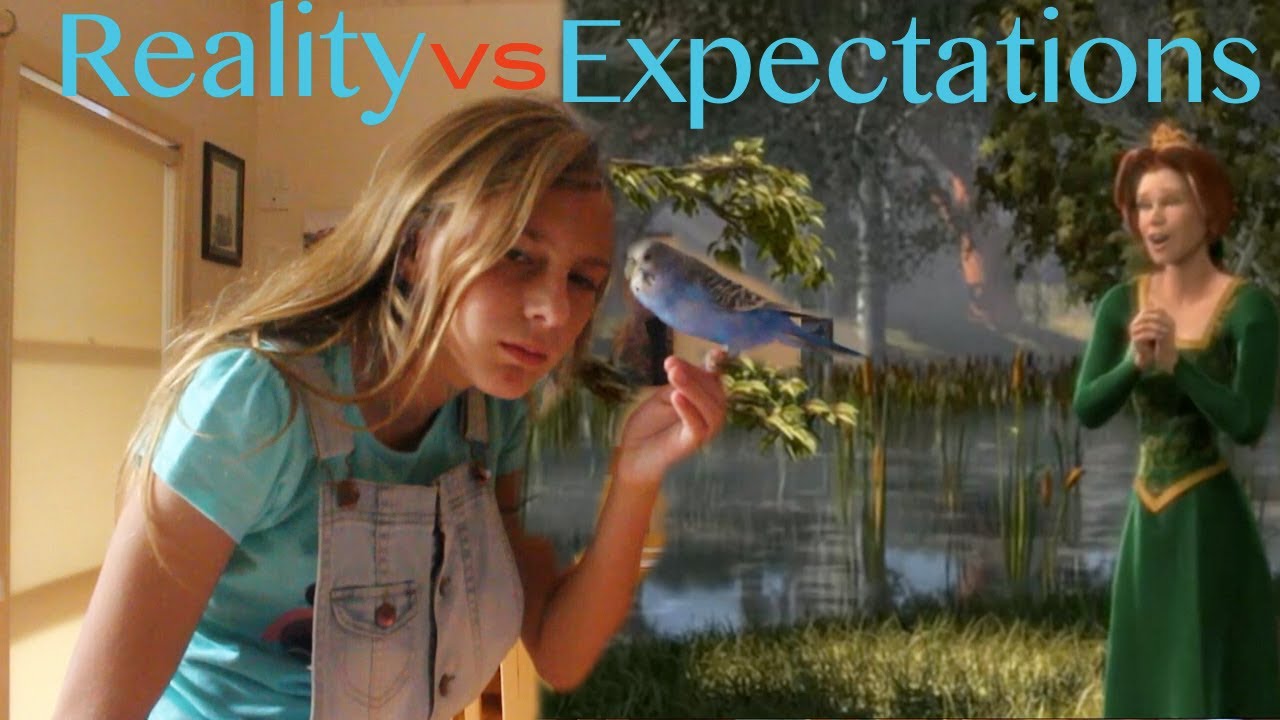 Disney Expectations vs Reality - YouTube