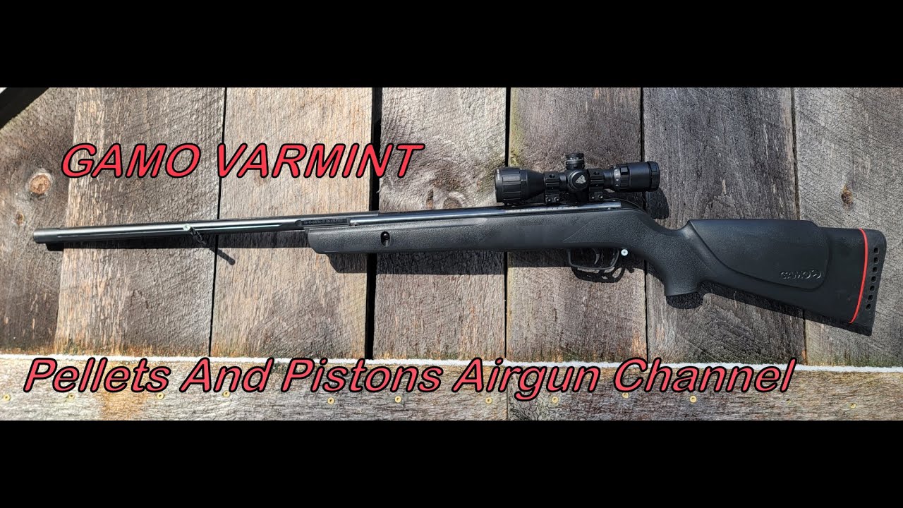 A Look At The Gamo Varmint Air Rifle - YouTube