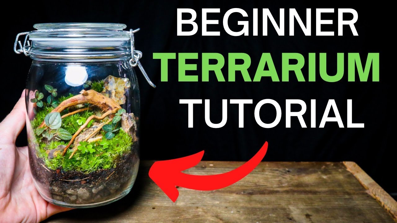 How To Make A Terrarium - ULTIMATE Beginners Guide - YouTube