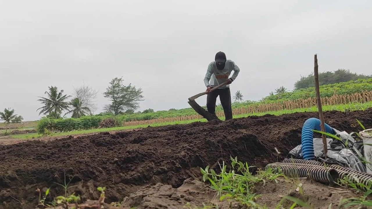 This Simple Land Leveling Trick Will Save You Hours! - Agriculture ...