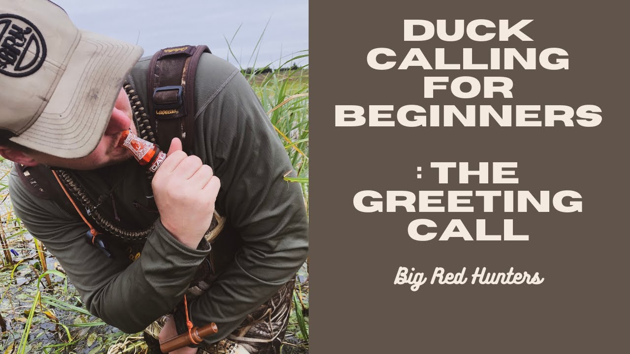 Duck Calling for Beginners: The Greeting Call - YouTube
