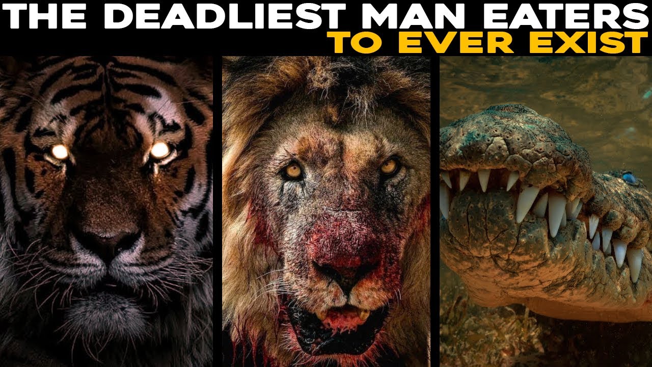 The Deadliest Man Eaters to Ever Exist - YouTube