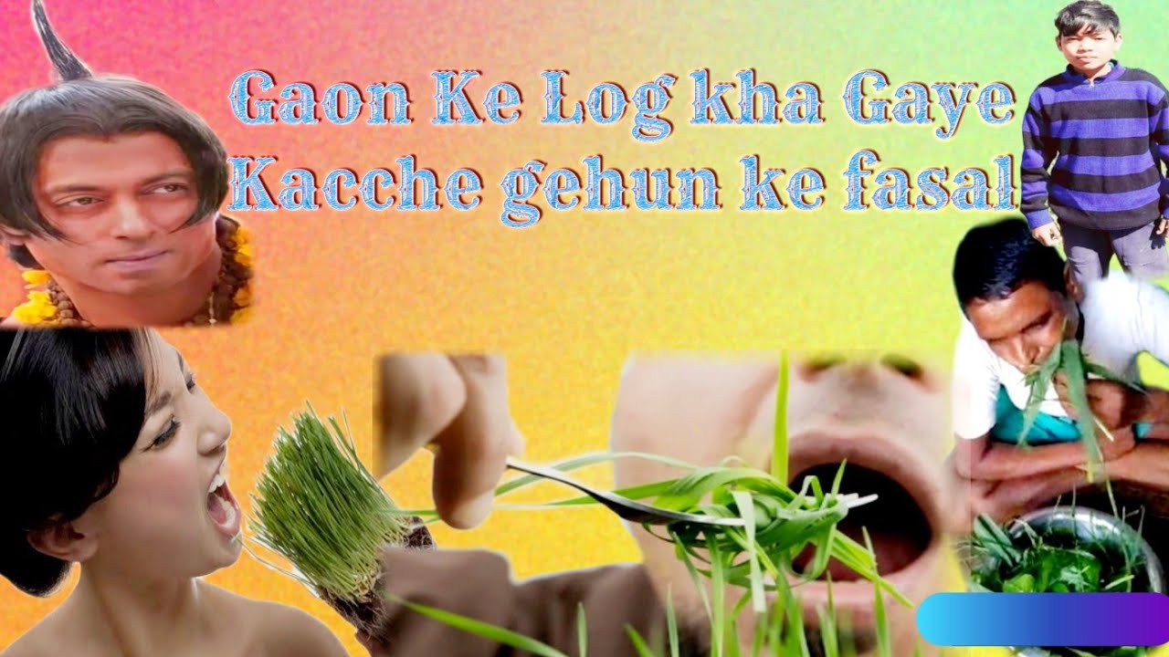 Gaon Ke Log kha Gaye ||Kacche gehun ke fasal #funny #comedy ...
