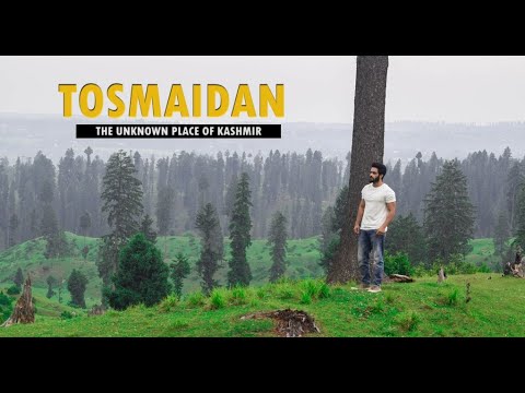 Tosamaidan: An Introduction ! Tourist place Kashmir ! 45 kms from ...