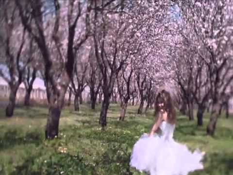 Nay Sleiman - Enta Amari Video Clip