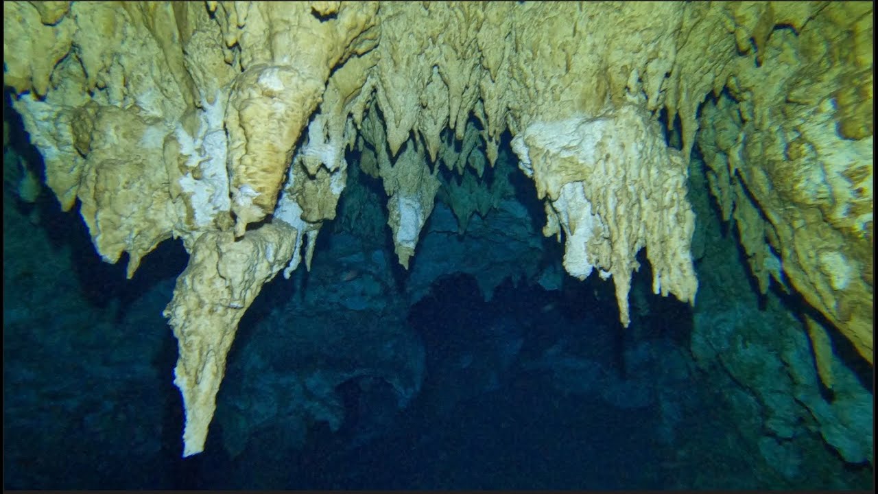 SCUBA Diving Cenote Dos Ojos, "The Bat Cave," Tulum, Mexico - YouTube
