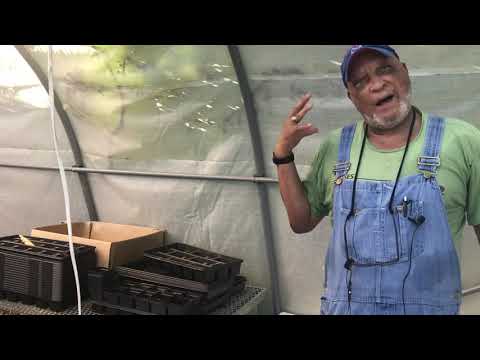Fall Transplants with Terry Garner at Palm Center Garden - YouTube