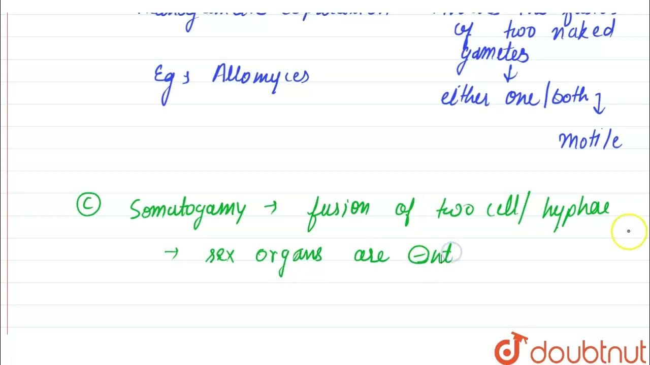 Match The Following LtBrgt A Gametangial Contact Coloumn I i match-the-following-ltbrgt-a-gametangial-contact-coloumn-i-i