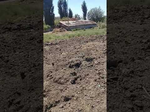 Xaiw bize komeklik edesiniz