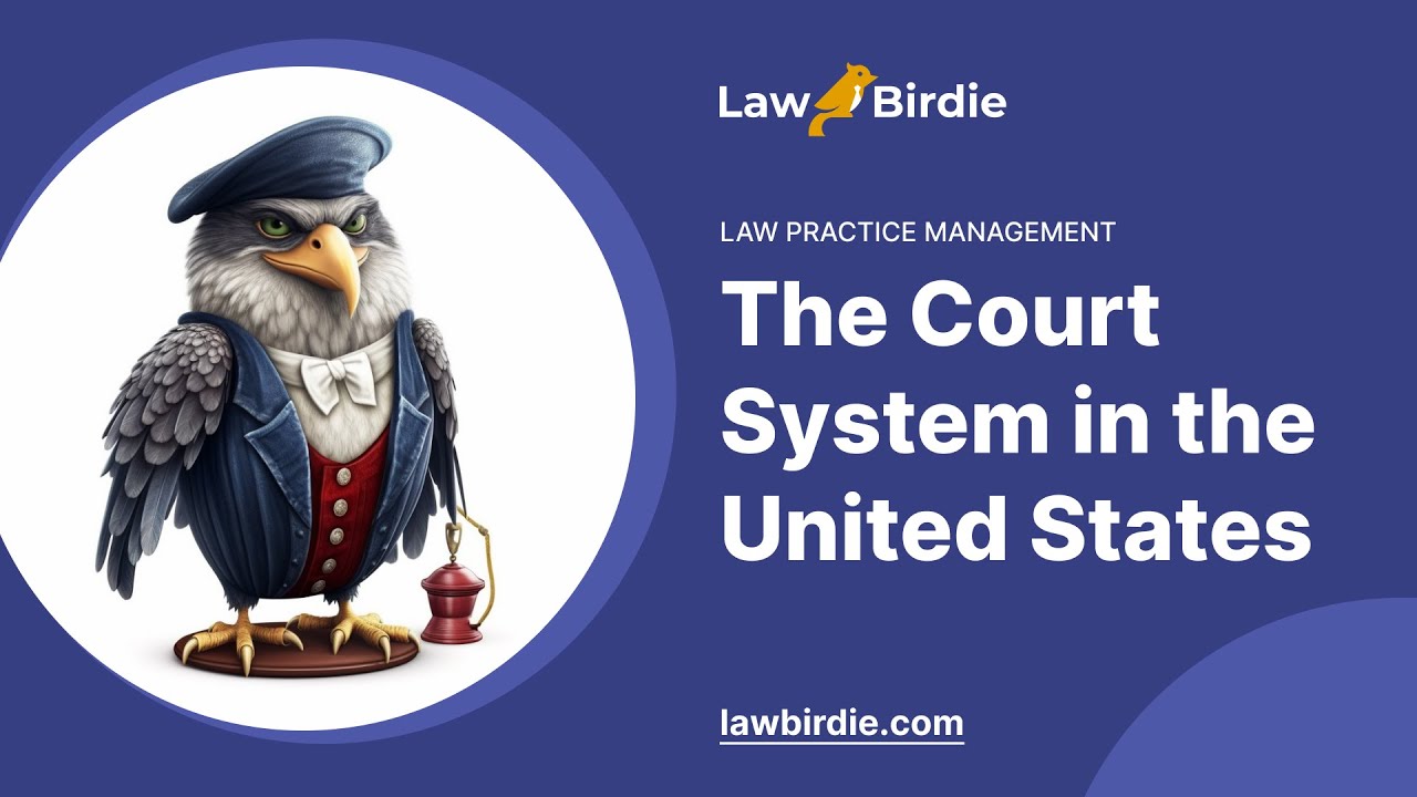 The Court System in the United States - Essay Example - YouTube