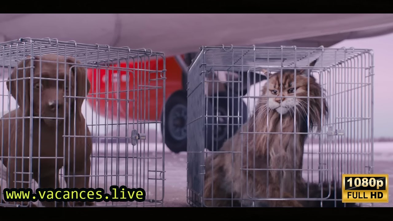 Chien et Chat Film Complet HD - YouTube