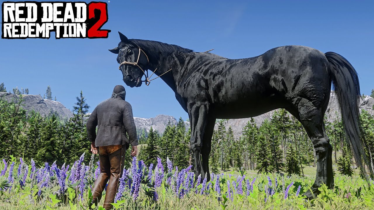 If you are black lover then don't miss this horse - RDR2 - YouTube