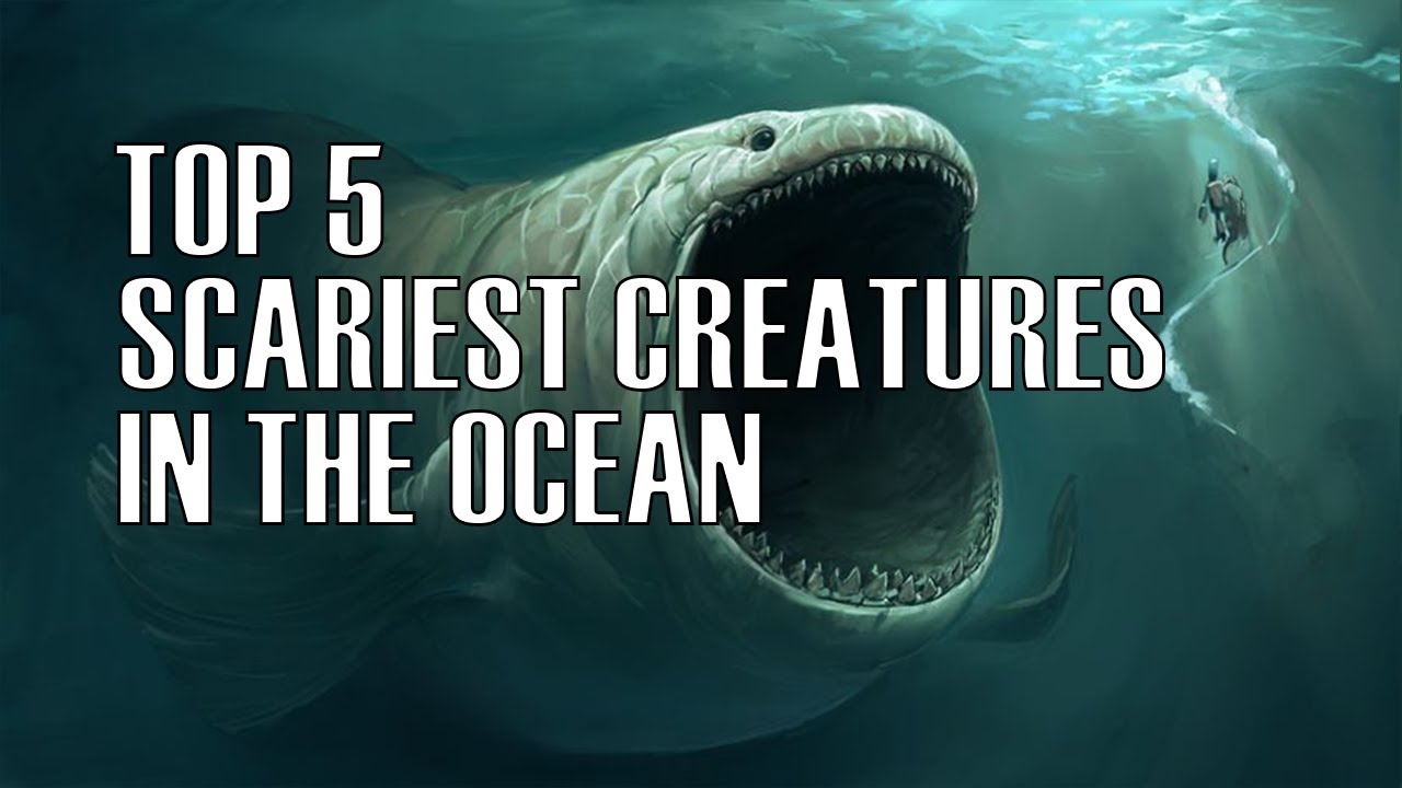 Top 5 scariest creatures in the ocean - YouTube