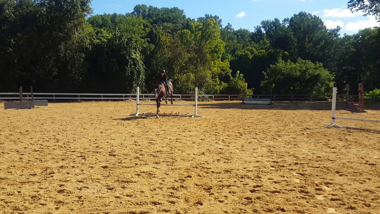 Pro jumping - YouTube