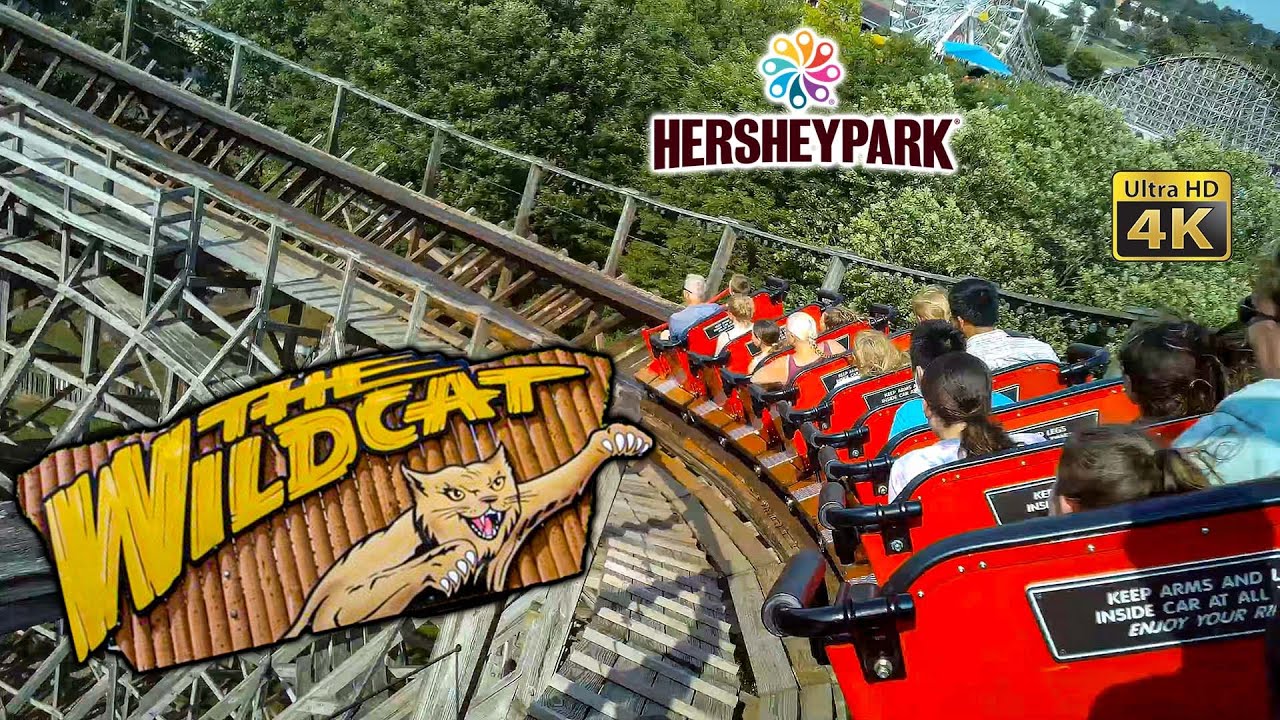 2021 Wildcat Roller Coaster On Ride 4K POV Hersheypark - YouTube