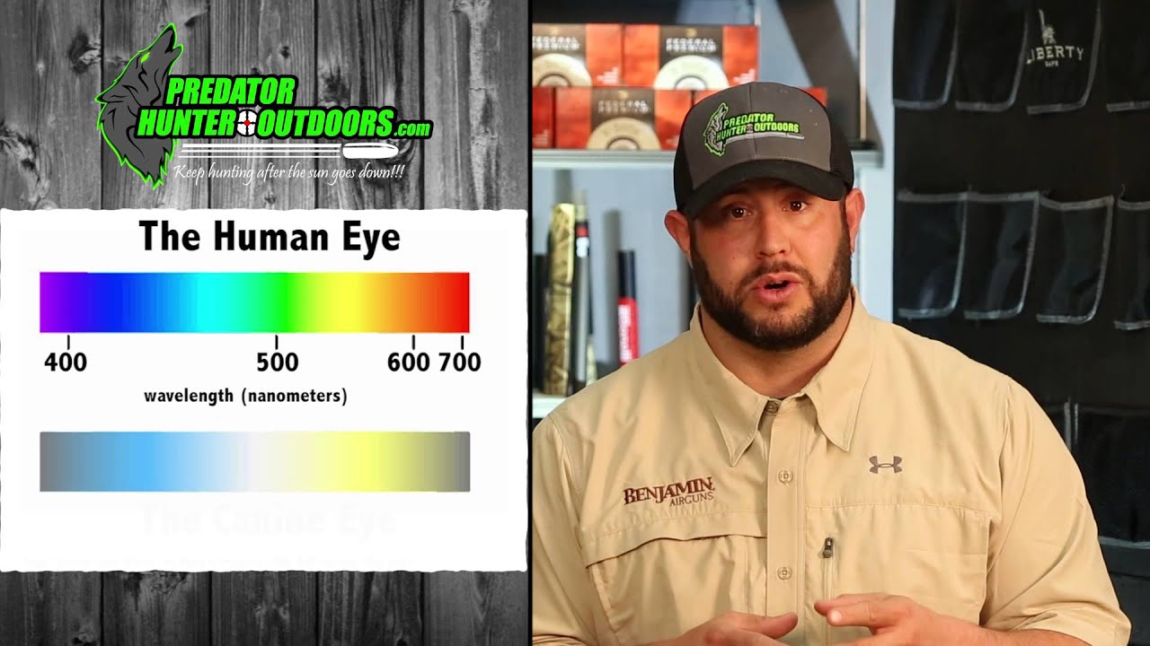 Predator Hunter Outdoors / Dead Dog Walkin' Color choice for predator ...