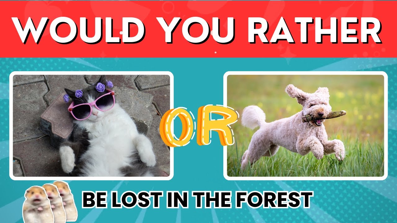 Would You Rather 2024? Would You Rather Be Lost In The Forest - YouTube