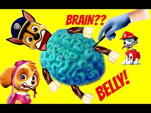 BRAIN BELLY Paw Patrol Chase Operation Cutting Open- Surgery to Find ...