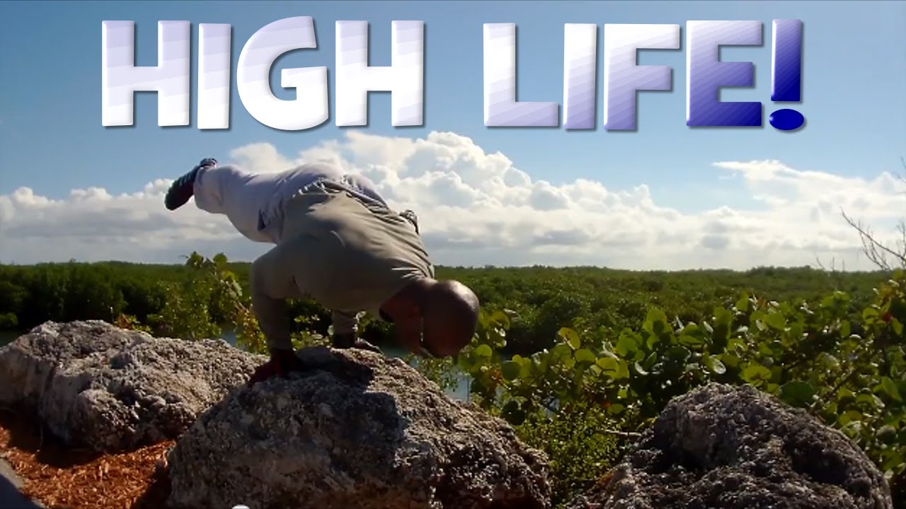 Calisthenics | High Life Workout! - YouTube