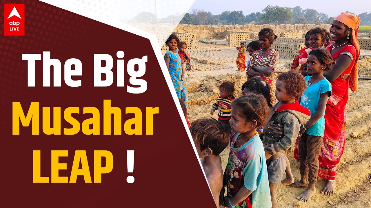 The Big Musahar LEAP: From being beggars to earning via kitchen gardens ...