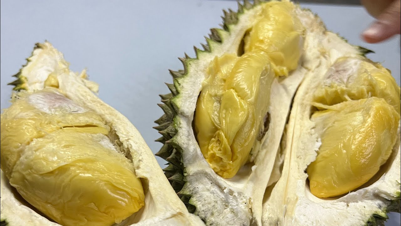 Durian Tekka Bukit Hulu Langat ( Musang Queen ) - YouTube