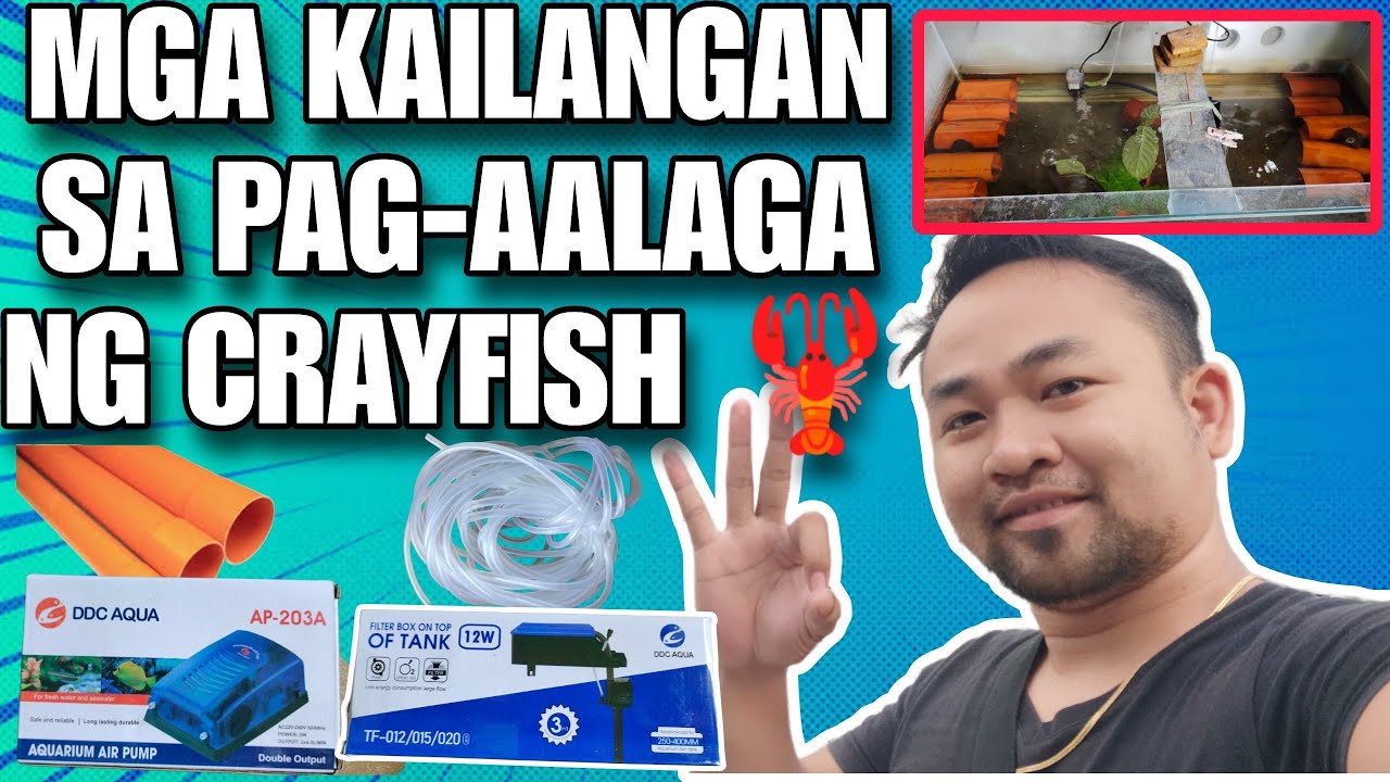 ANO ANG MGA KAILANGAN SA PAG-AALAGA NG CRAYFISH? - YouTube