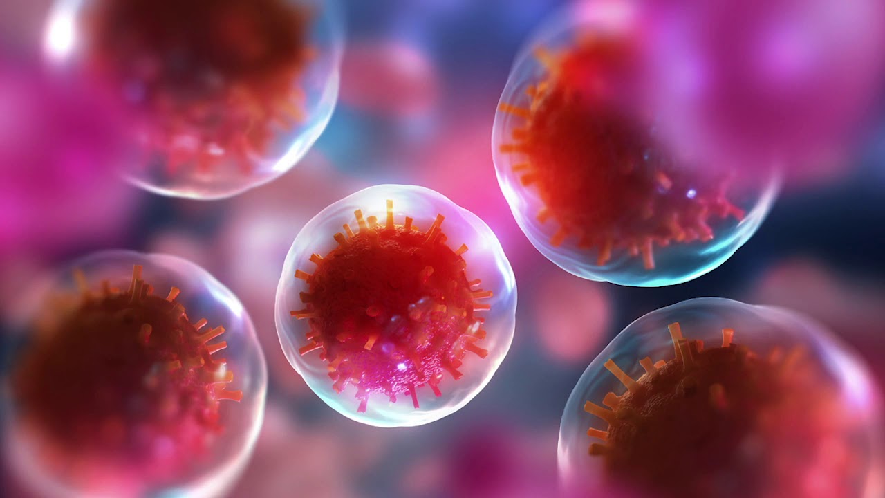 Antimicrobial Protective Solution "d2p" - YouTube