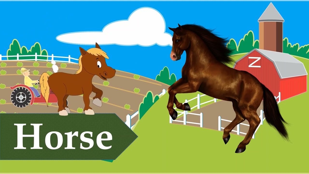 farm animals part 1 - YouTube