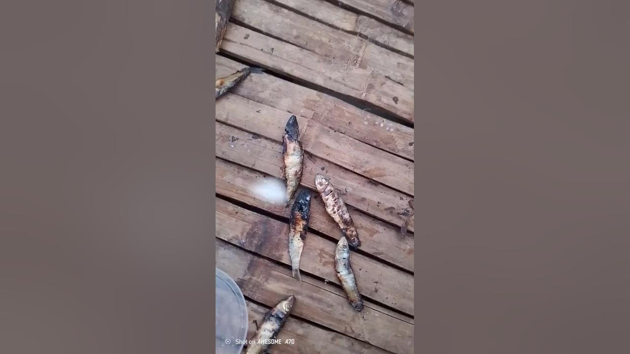 inihaw na tuyo sarap mga ka idol kain tayo - YouTube