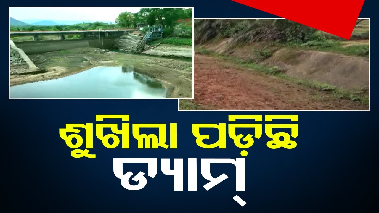 Dams Dry Up in Odisha Due to Lack of Rain, Causing Agricultural and ...