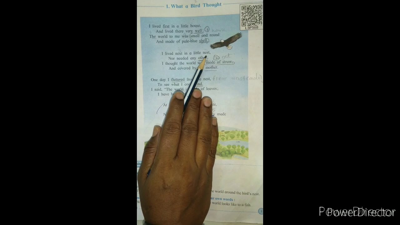 What A Bird Thought Std V English Poem YouTube what-a-bird-thought-std-v-english-poem-youtube