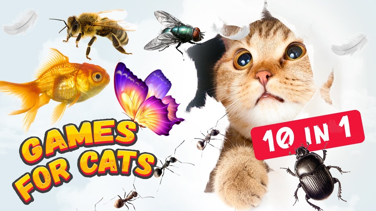 10 in 1 REALISTIC CAT GAMES MIX | Video for Cats with Worm, Fish, Bee ...