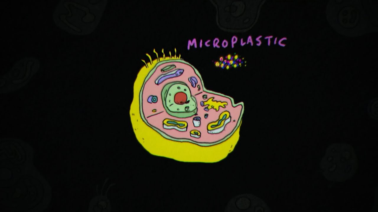 Plastic People | Film Clip | Microplastics and Human Cells - YouTube